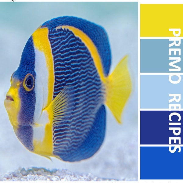 Angelfish Painting - Etsy