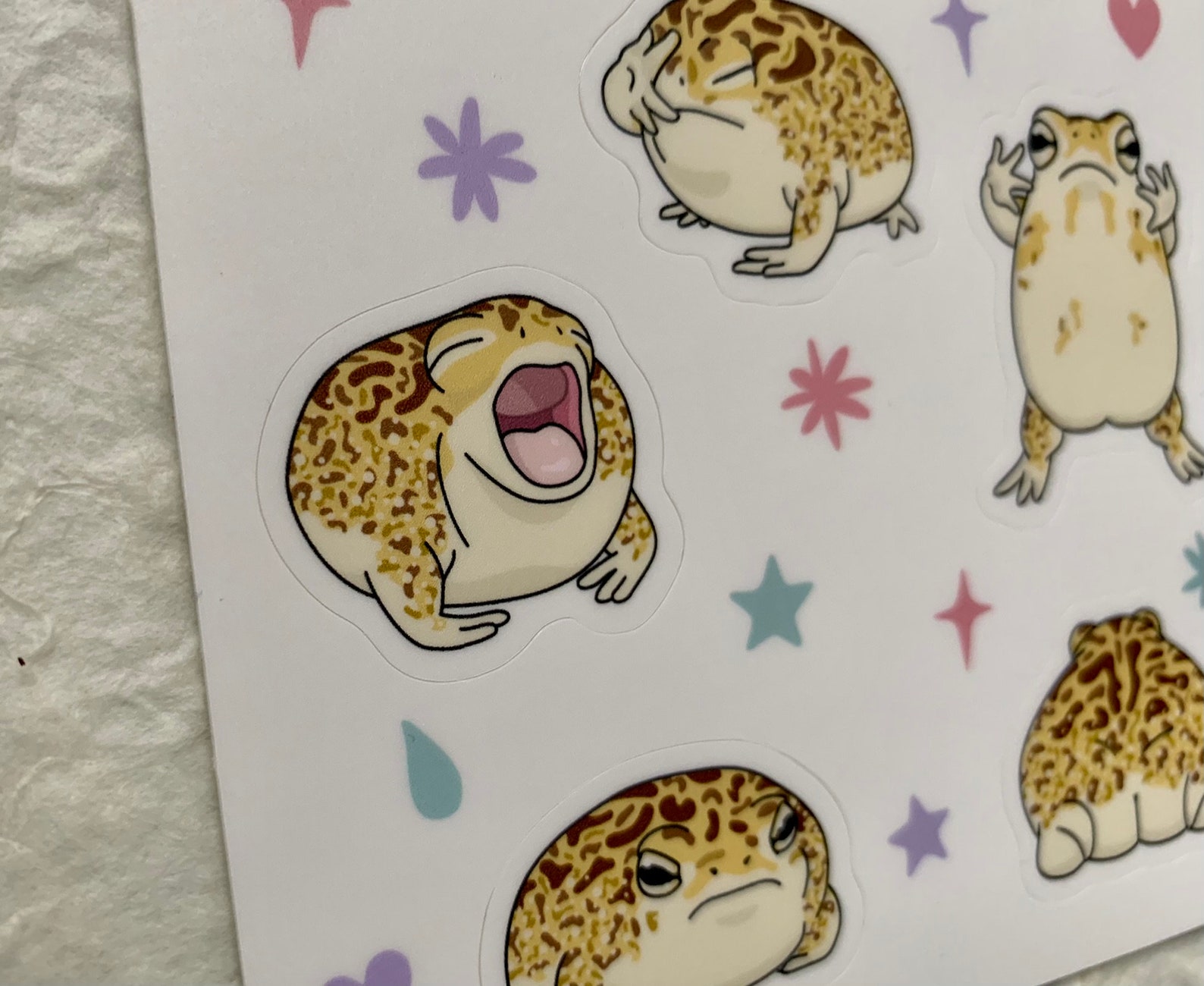 Desert Rain Frogs Sticker Sheet Rain Frogs, Cute Animal Stickers, Frog ...