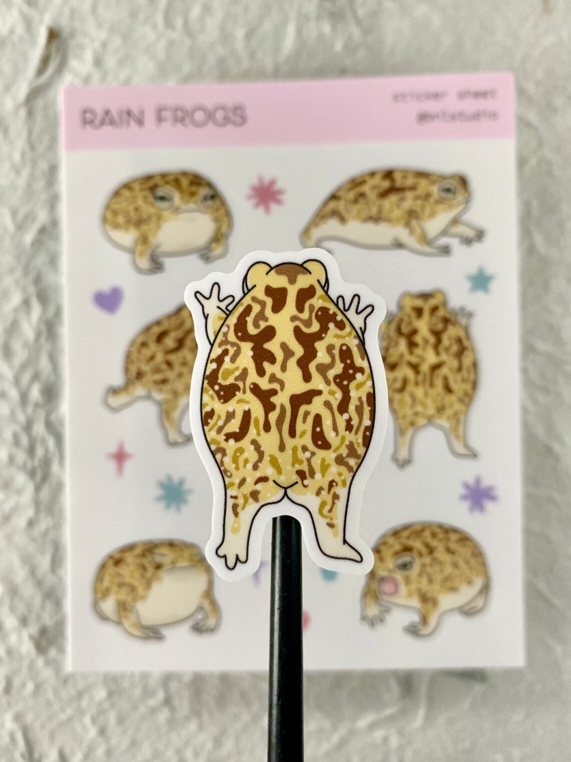 Desert Rain Frogs Sticker Sheet Rain Frogs Cute Animal - Etsy