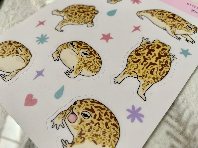 Desert Rain Frogs Sticker Sheet Rain Frogs Cute Animal - Etsy