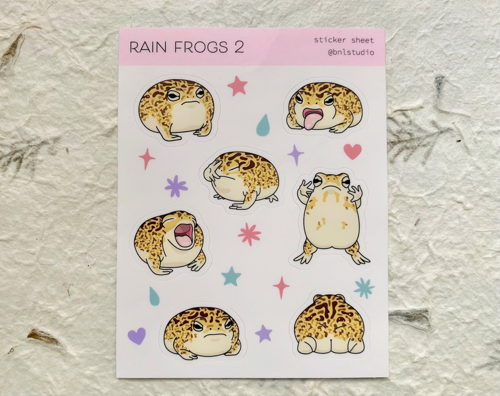 Desert Rain Frogs Sticker Sheet Rain Frogs, Cute Animal Stickers, Frog ...
