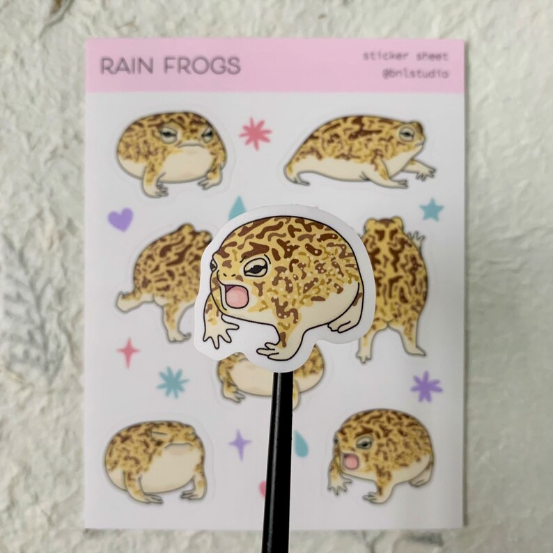 Desert Rain Frogs Sticker Sheet Rain Frogs Cute Animal - Etsy
