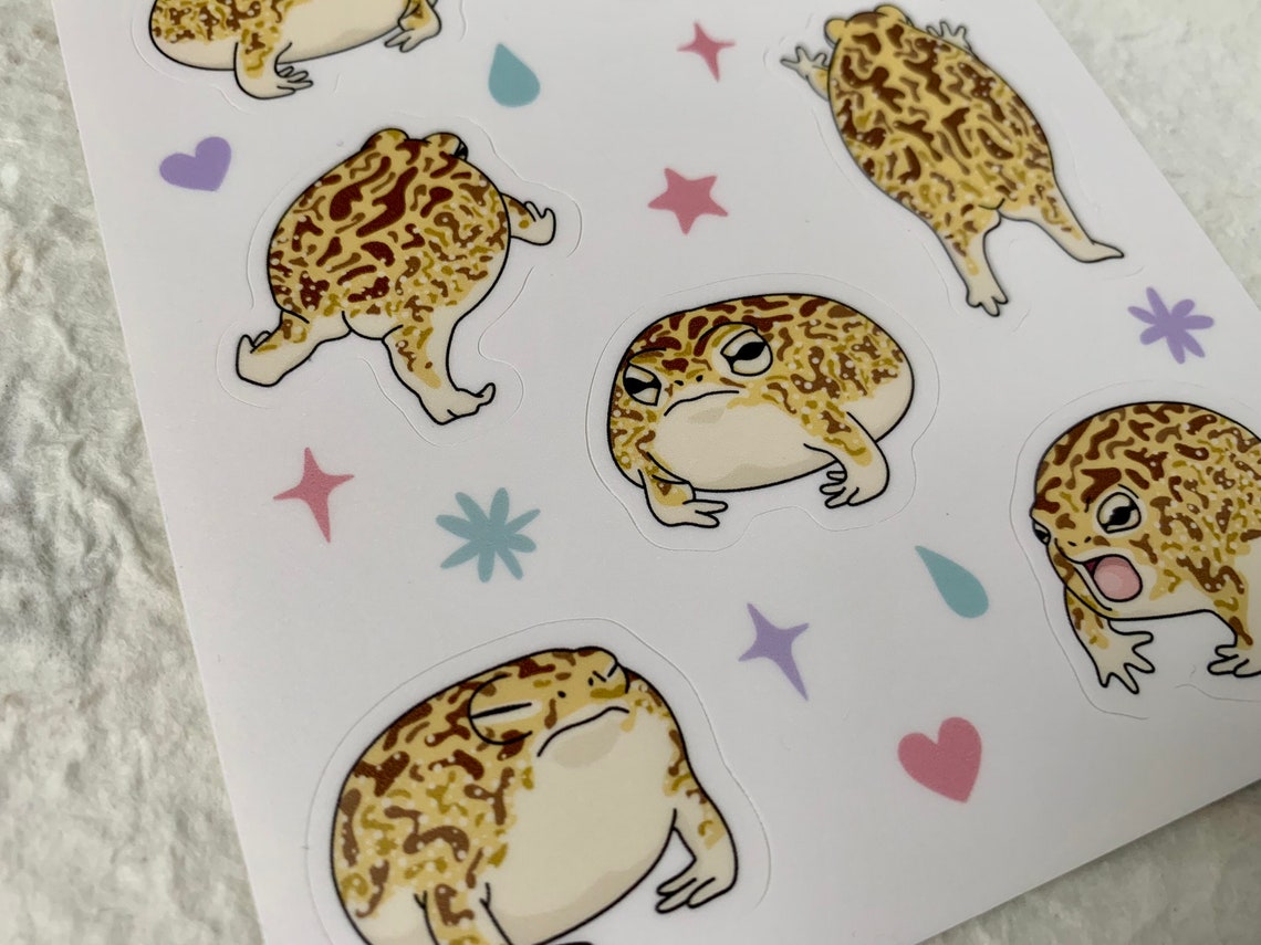 Desert Rain Frogs Sticker Sheet Rain Frogs Cute Animal - Etsy
