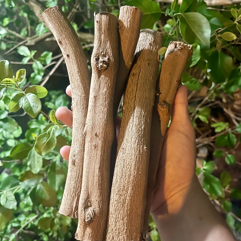 Palo Stick - Etsy