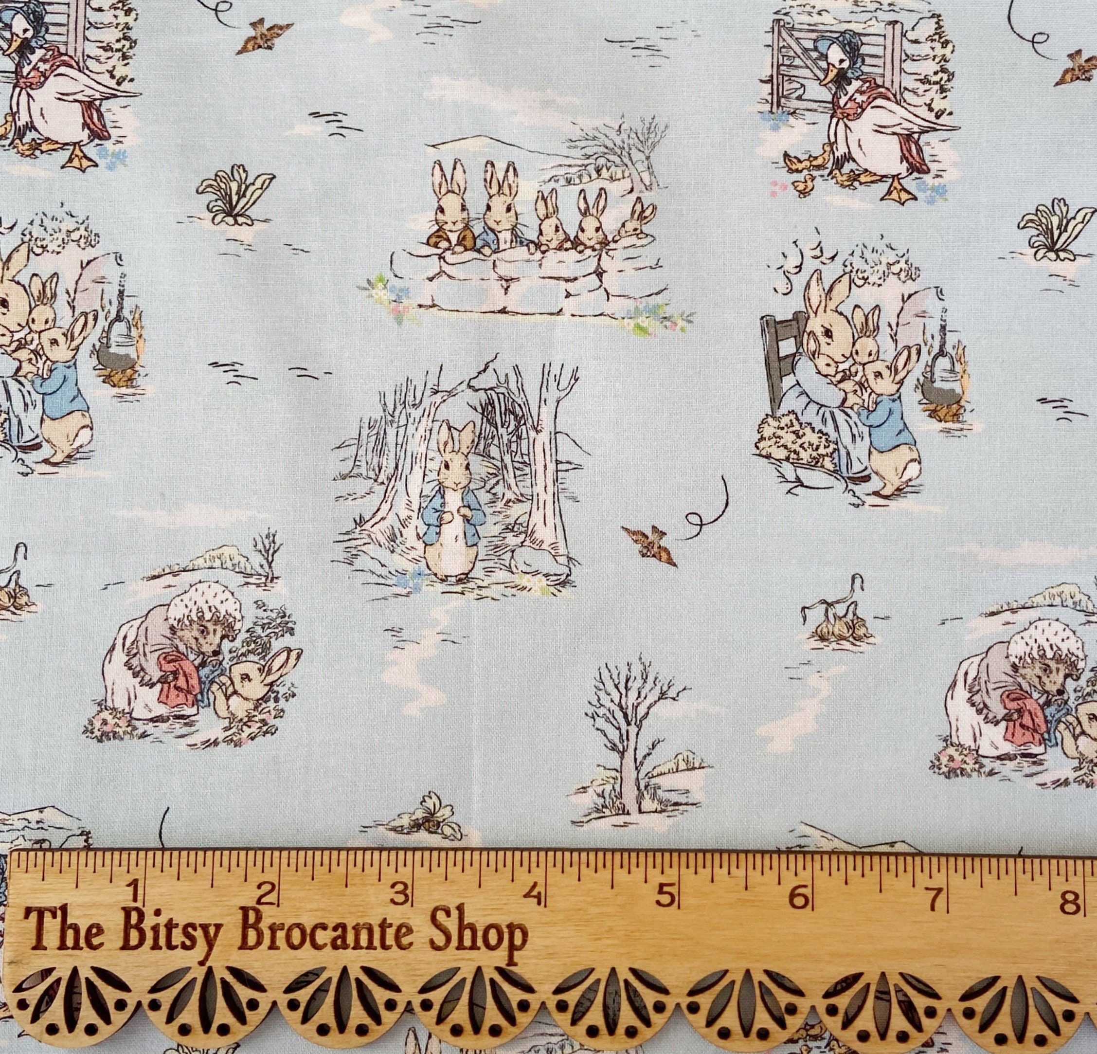 Peter Rabbit and Friends Beatrix Potter Prints by Visage - Etsy