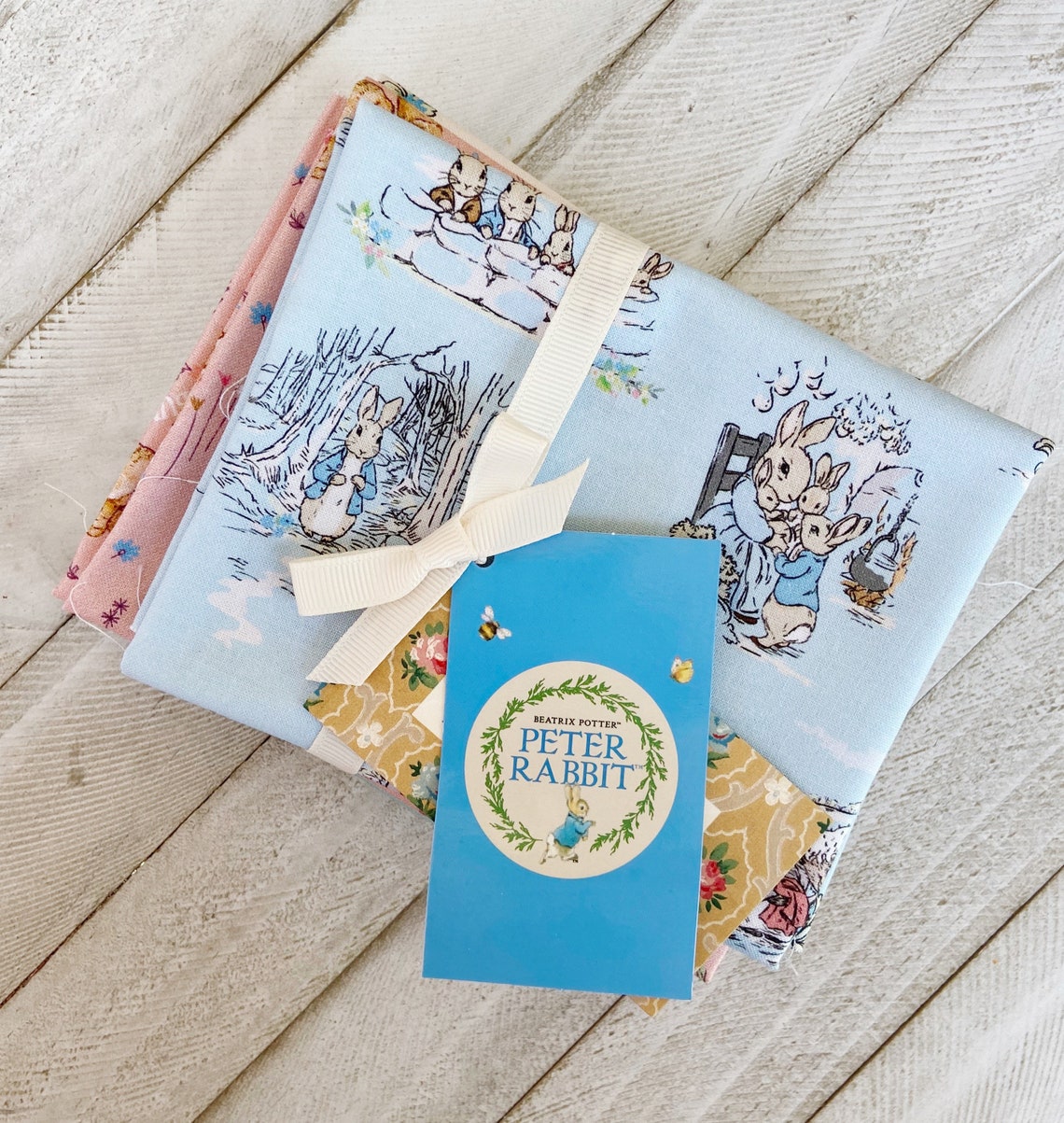 Peter Rabbit and Friends Beatrix Potter Prints by Visage - Etsy