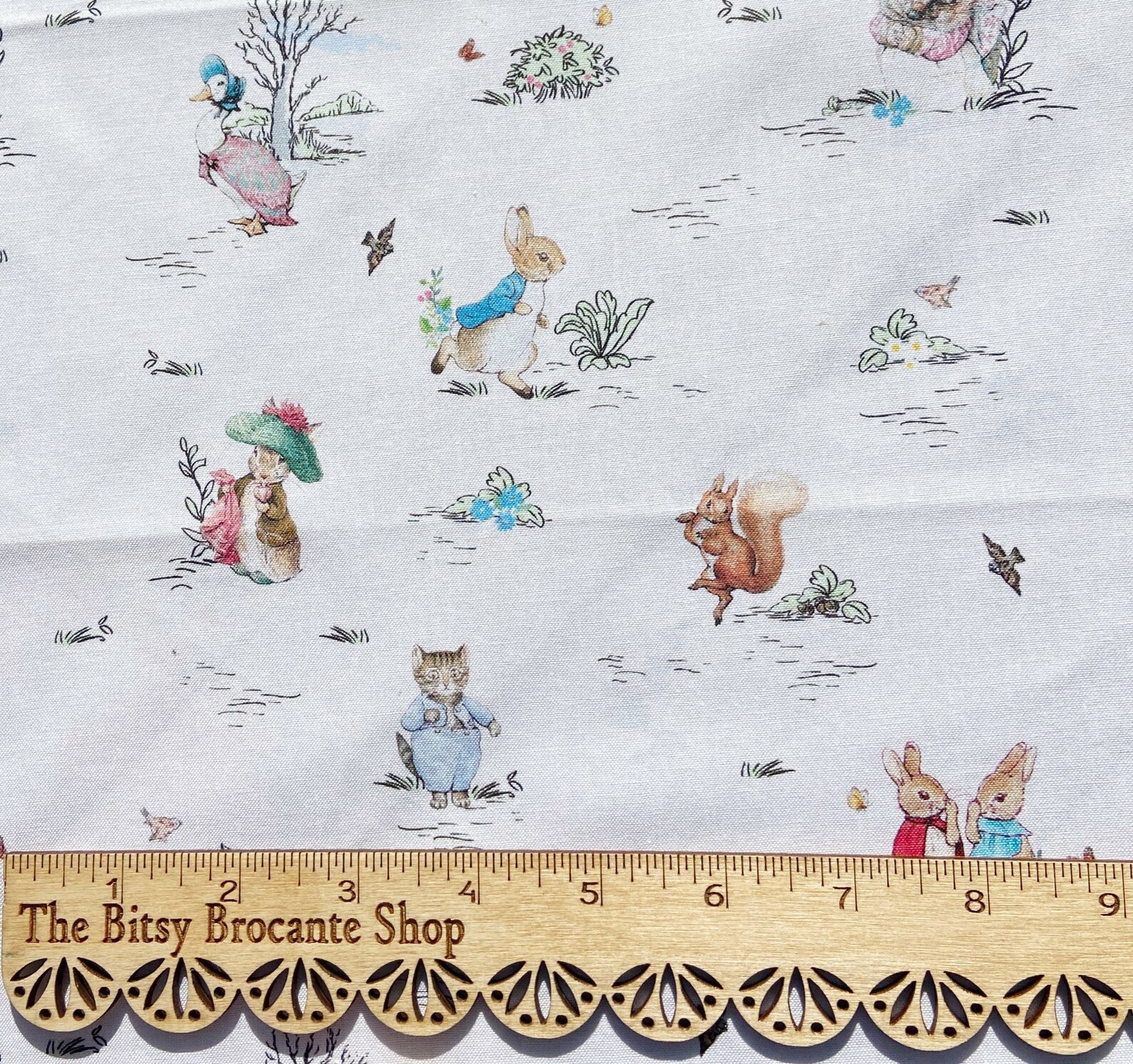 Peter Rabbit and Friends Beatrix Potter Prints by Visage - Etsy