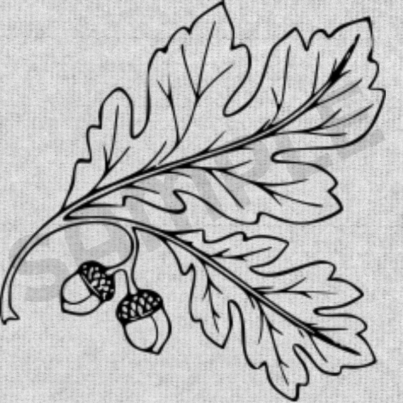 Oak Leaf Acorns Stencil - Etsy