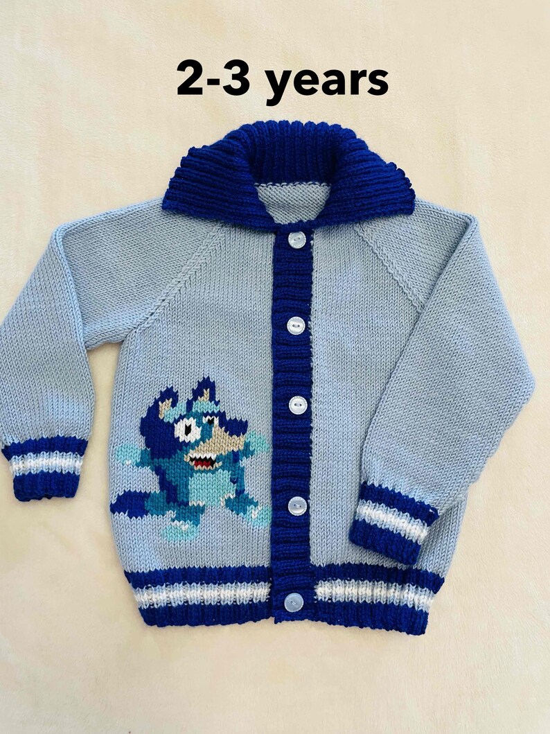 Bluey Cardigan, 2-3 Yr Old Child. - Etsy