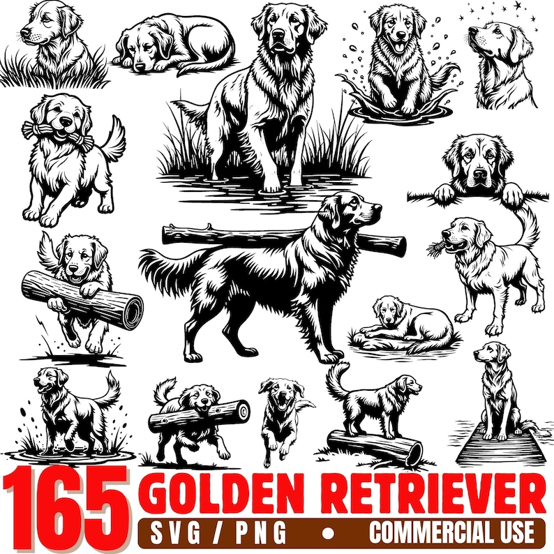 Golden Retriever Vector Bundle: Svg, Png, Pdf, Dxf (digital Download ...