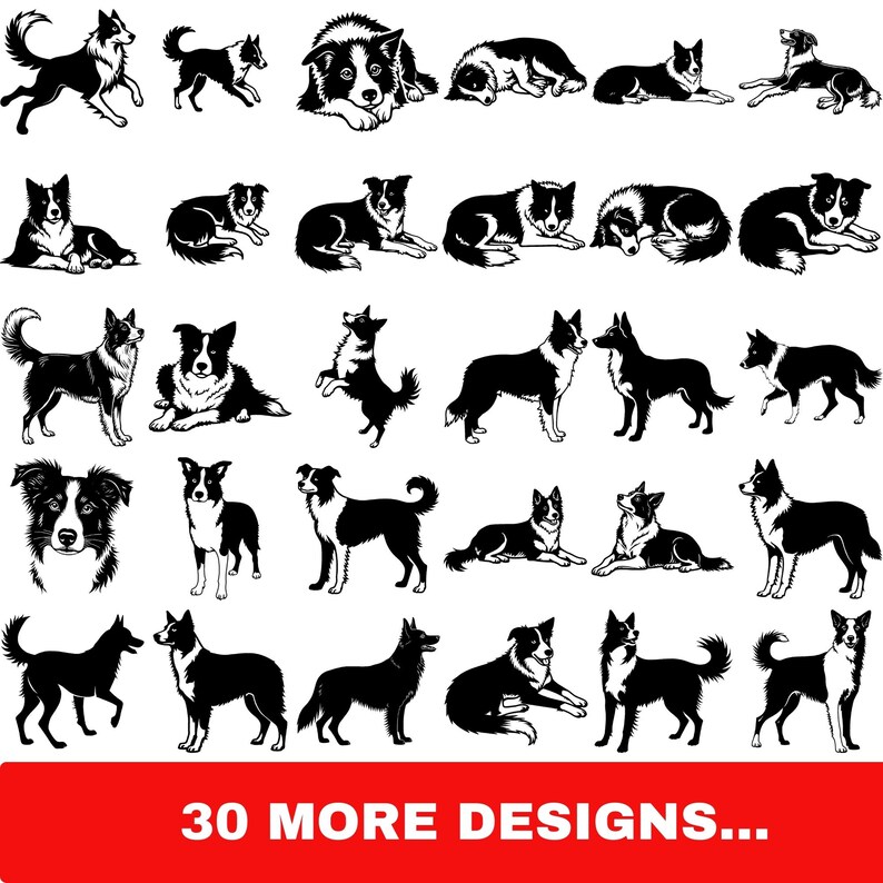 Border Collie Graphics Bundle SVG Craft Designs Apparel Decor Gifts ...