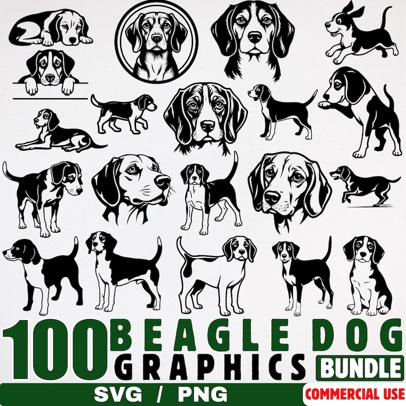 Beagle Graphics Bundle Dog Clipart SVG PNG Cricut Crafts Instant ...