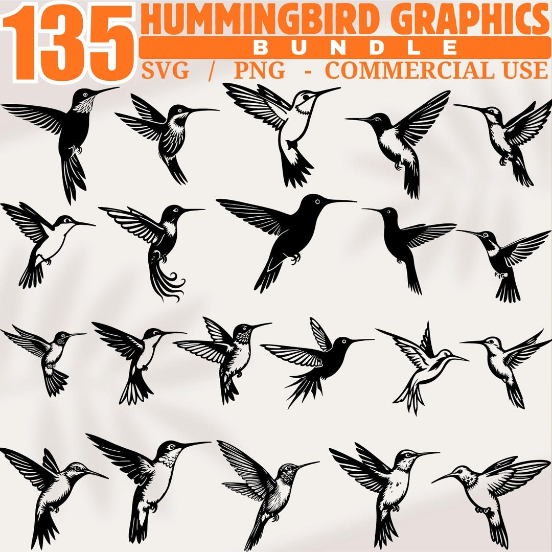 Hummingbird Graphic Bundle SVG Designs for Cricut Crafts Laser Projects ...
