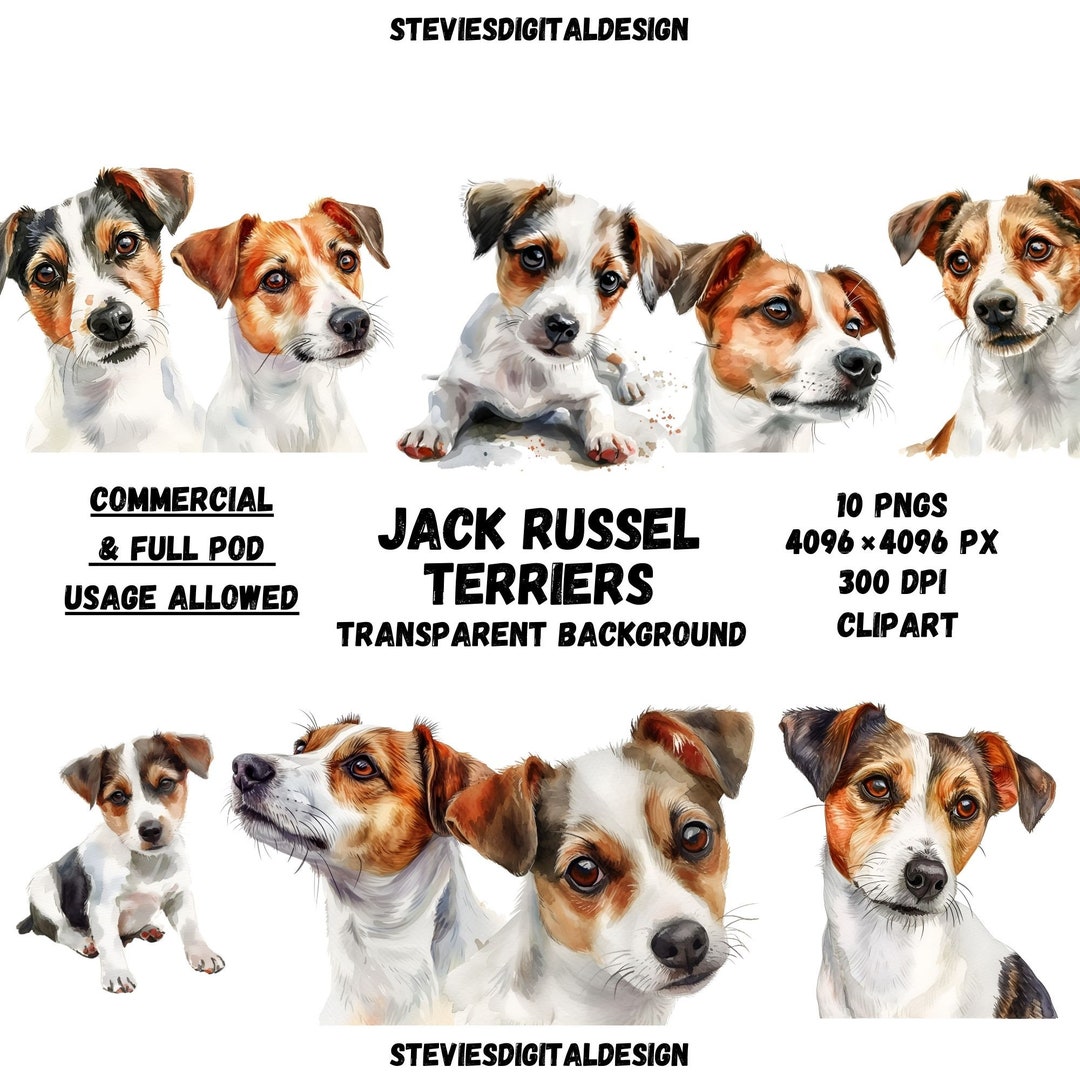 Jack Russell Terrier Dog Clipart Set 10 Charming PNG Graphics for ...