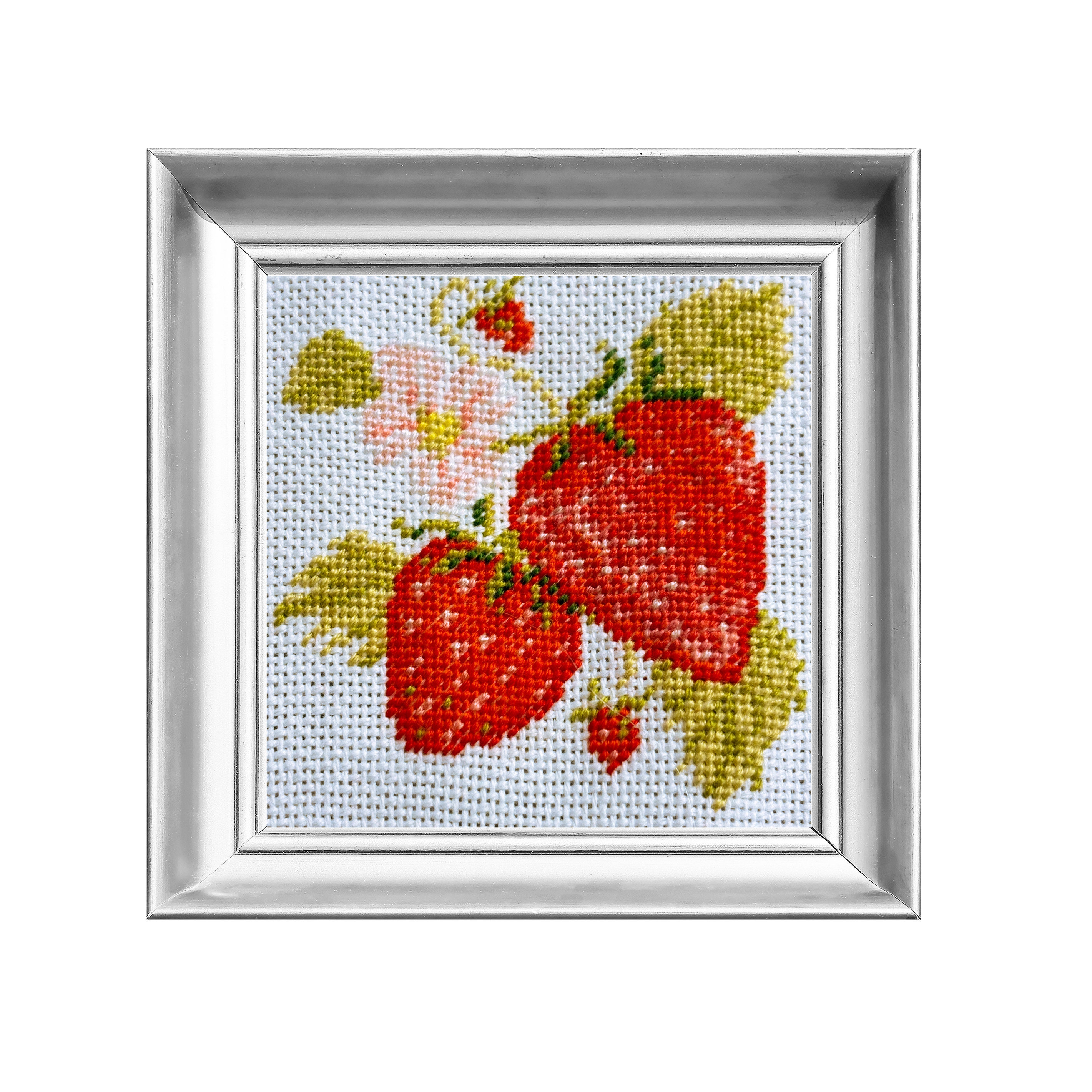 Small Fruit DIY Instant Digital Download PDF Chart Petit-point ...
