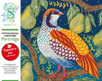 Red Legged Partridge Needlepoint Kit - Etsy