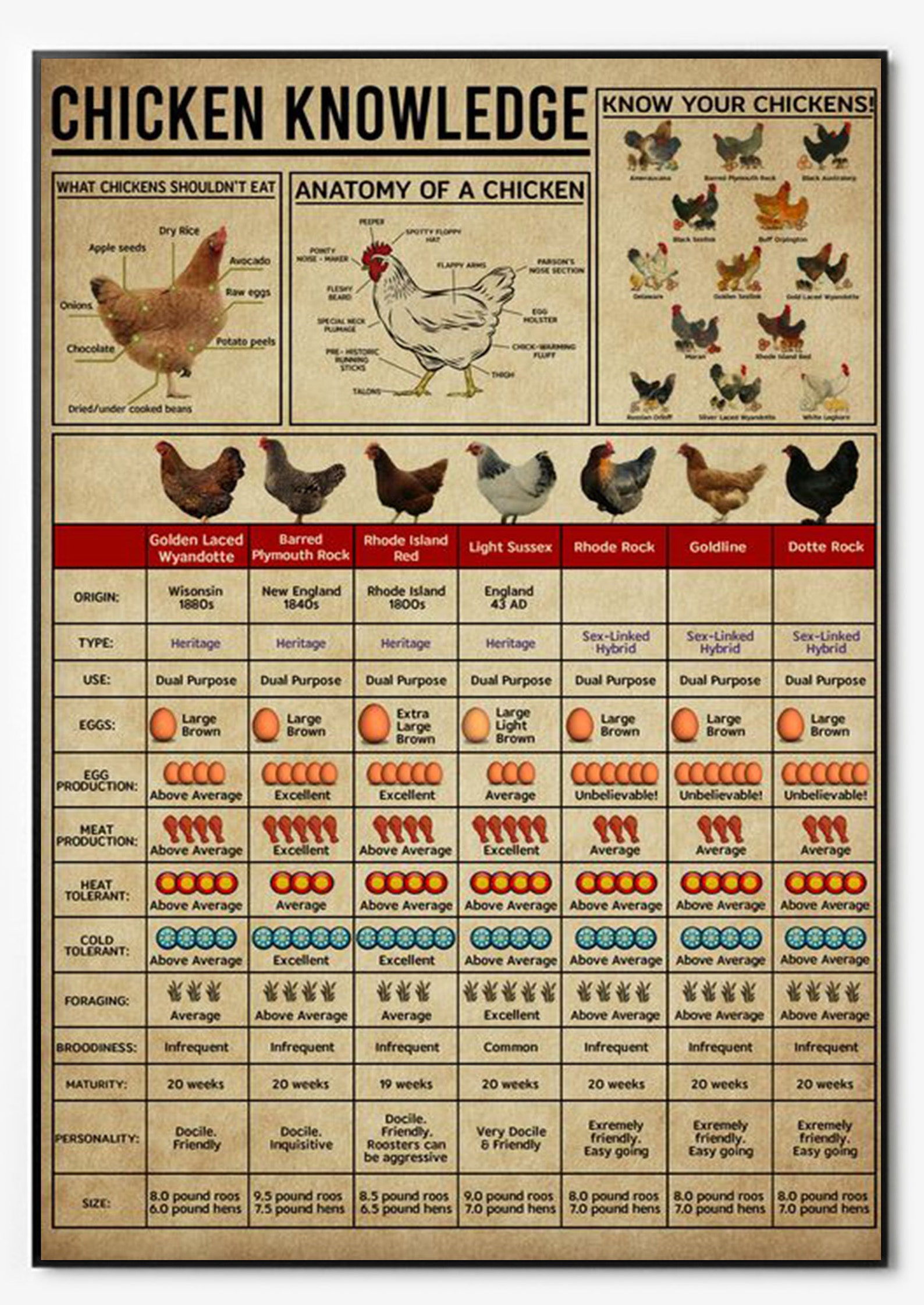 Chicken Knowledge Poster Breeds of Chickens Knowledge - Etsy