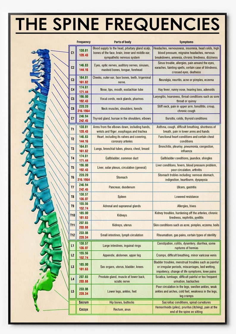 The Spine Frequencies Canvas Poster Physiotherapist Poster - Etsy