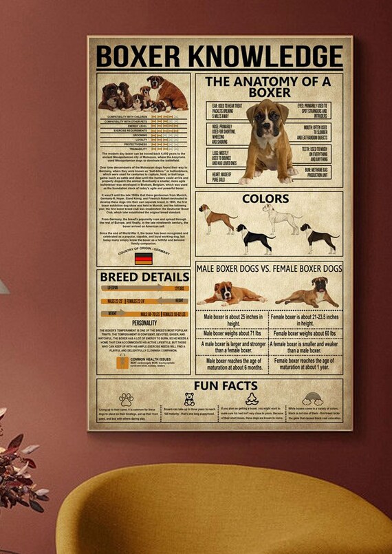 Boxer Knowledge Poster Boxing Lover Gift Boxing Print - Etsy