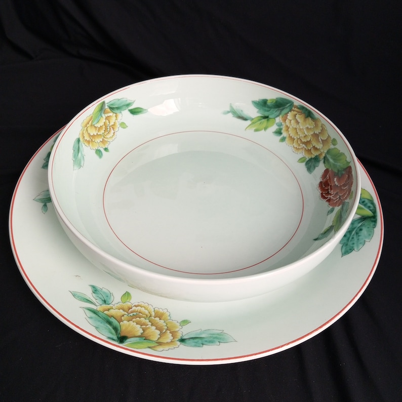 Set of 2 Dinner Plate 26.5cm T'chou by VILLEROY & BOCH Vitro Porcelain ...