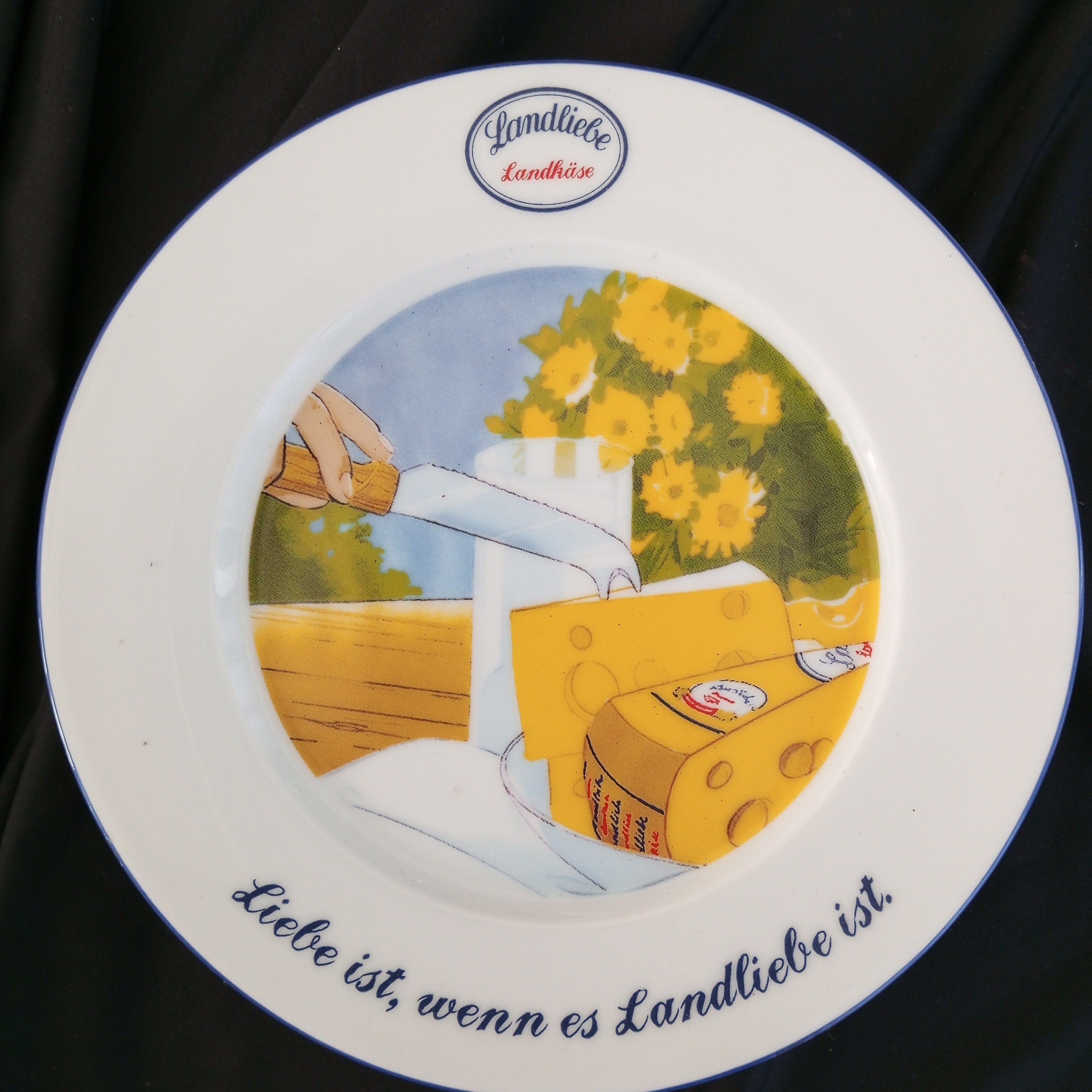 Antiguo Landliebe Country Cheese Advertising Plate Porcelana(9 piezas ...