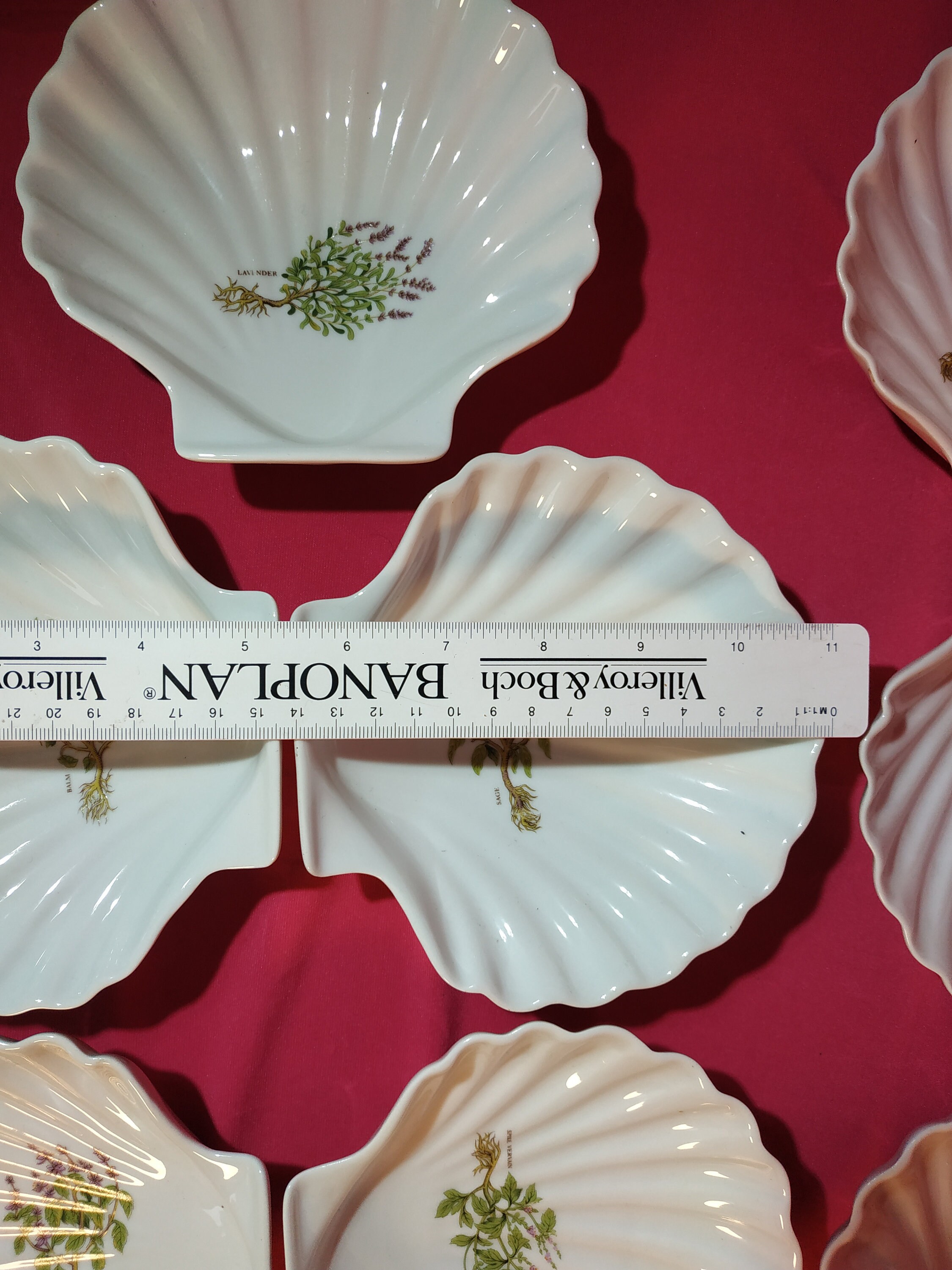 French Antique Plate in the Shape of a Scallop Shell From the - Etsy