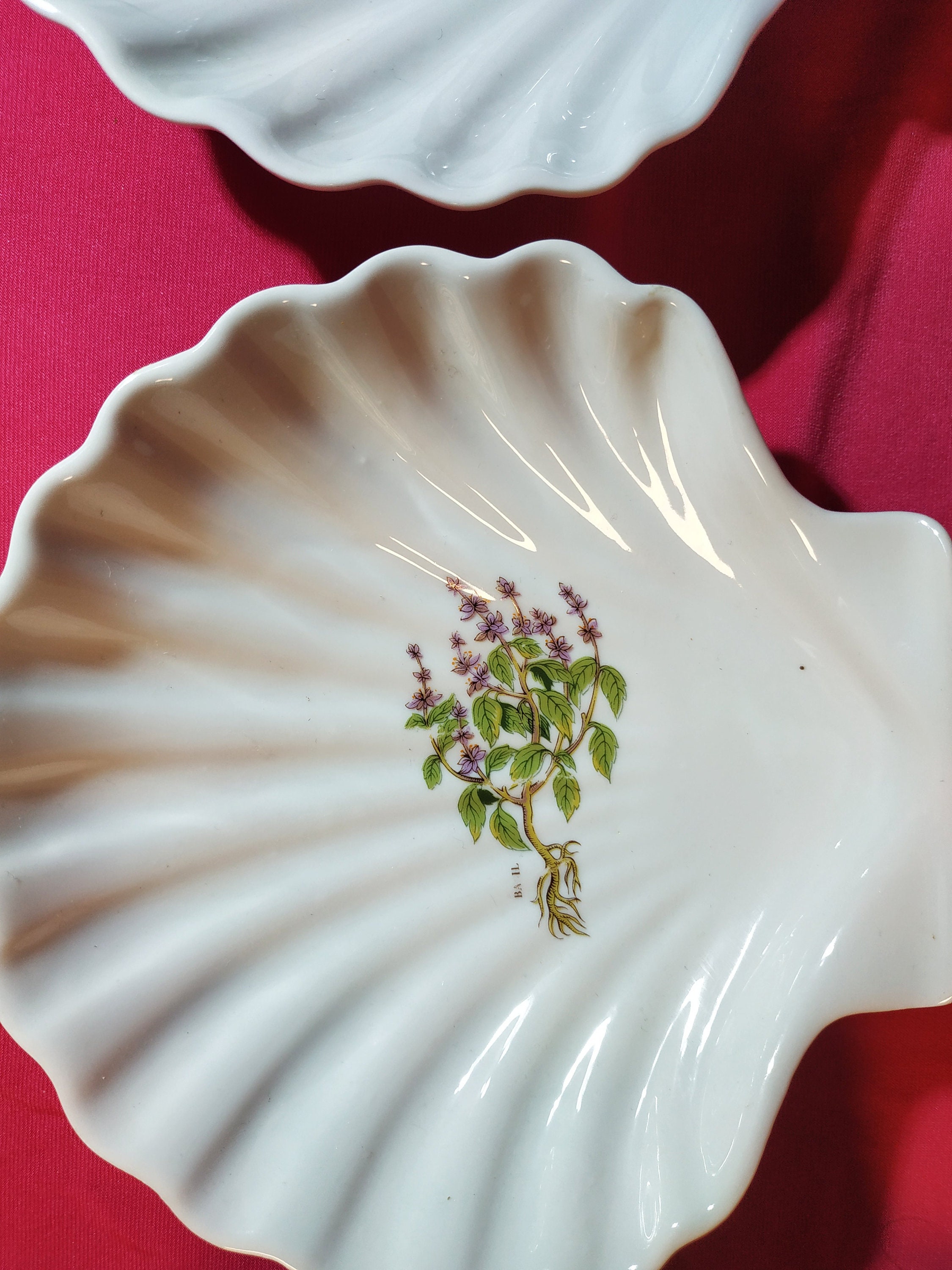 French Antique Plate in the Shape of a Scallop Shell From the - Etsy