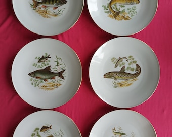 Fish Dinner Plate - Etsy
