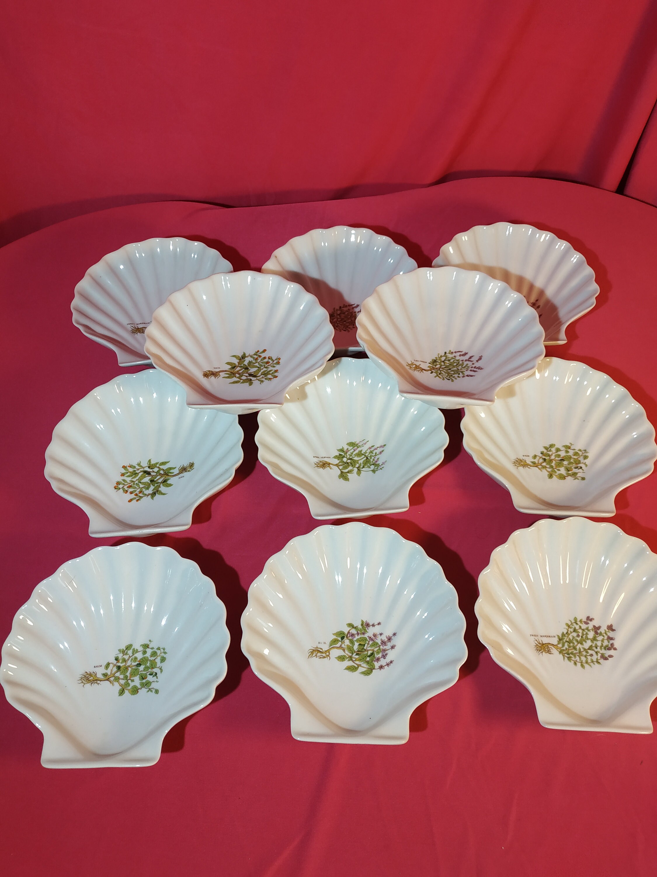 French Antique Plate in the Shape of a Scallop Shell From the - Etsy