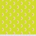 PRE-ORDER: Untamed 10 Charm Pack 42 Pieces Tula Pink Fabric october ...