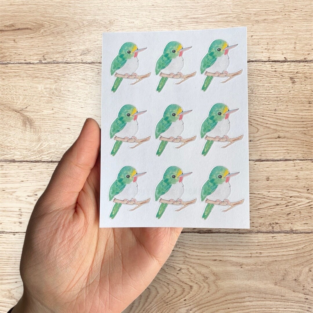 Cute Hummingbird Stickers | Matte Sticker Sheet | Colorful Bird ...