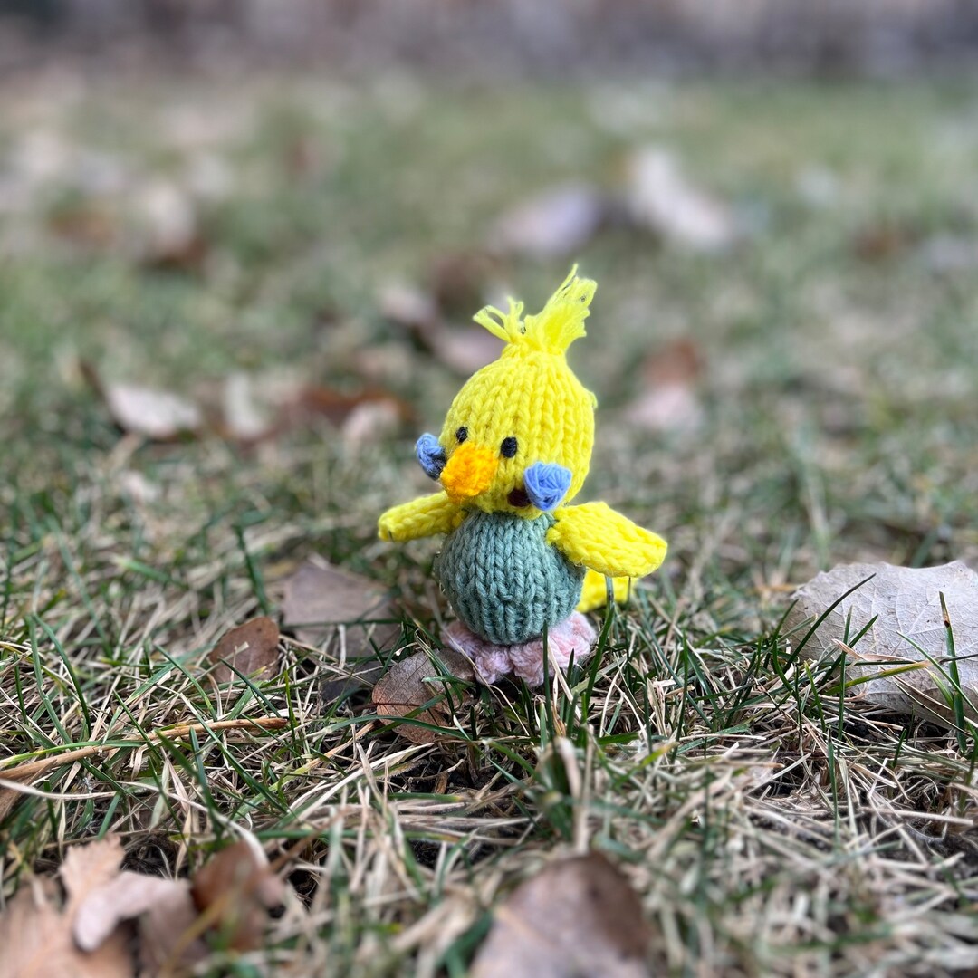 Adorable Knit Bird | Cute Handmade Gift for Friend | Parrot Plushie ...