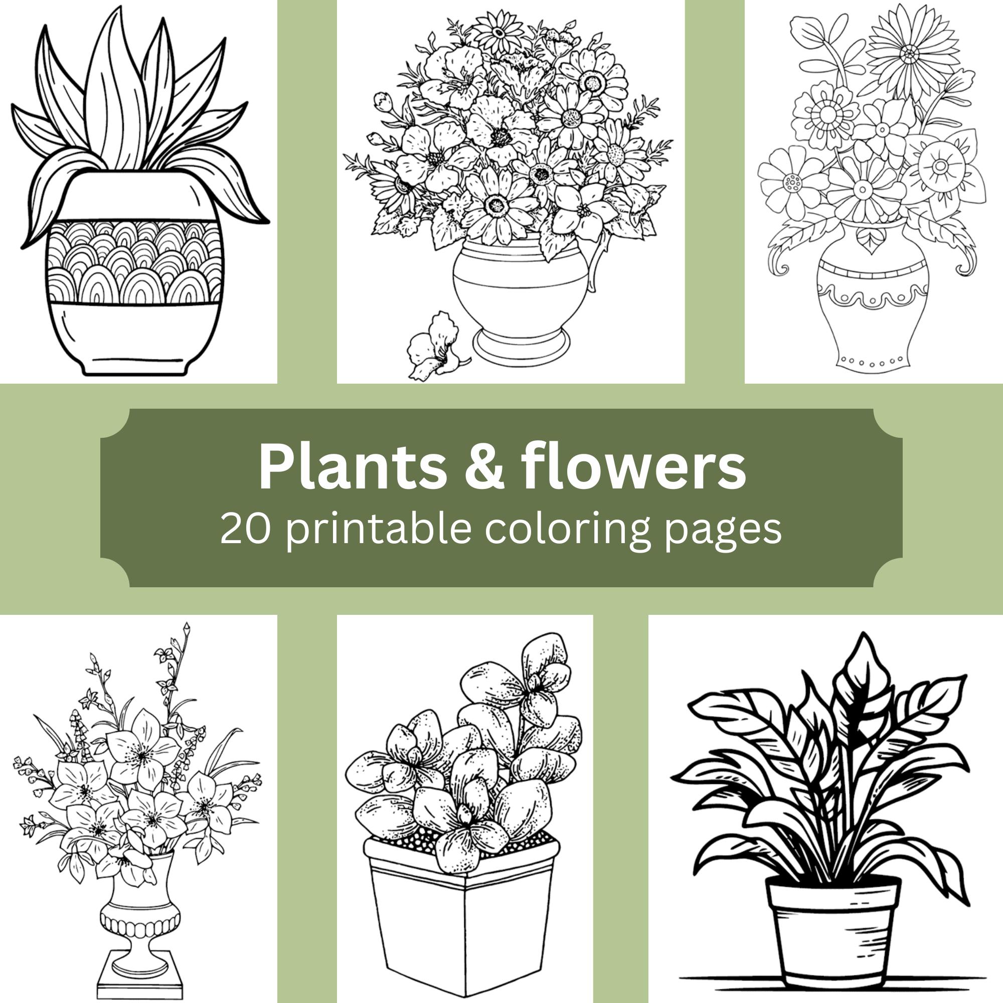 Plant And Flower Coloring Pages Kids - Image to u