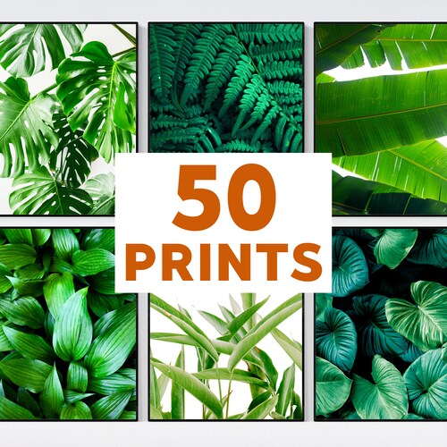 Set of 3 Monstera Leaf Digital Print Botanical Print Floral - Etsy