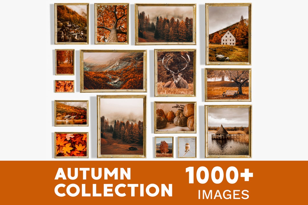 Set of 1000 Fall Prints, Fall Wall Art, Autumn Wall Art Prints, Fall ...