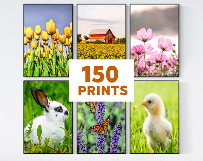 Spring-wallart Gallery | Set of 30+ | Artful-spring-landscape ...