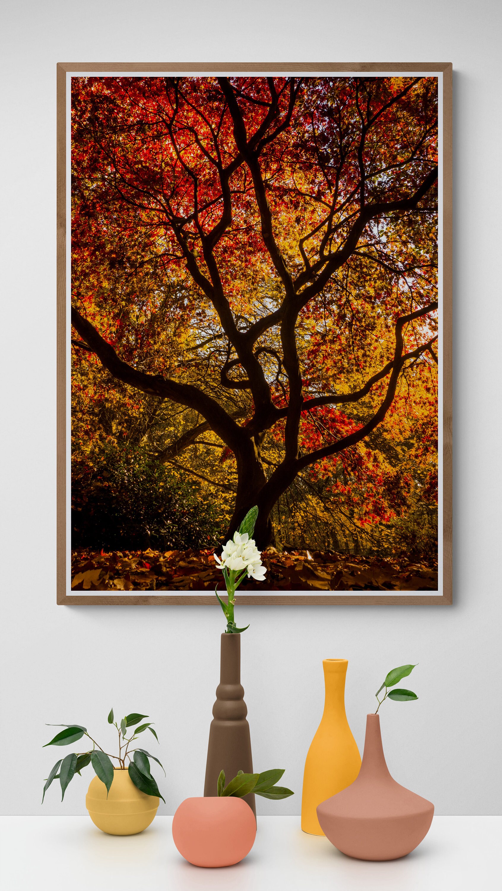 Set of 1000 Fall Prints, Fall Wall Art, Autumn Wall Art Prints, Fall ...