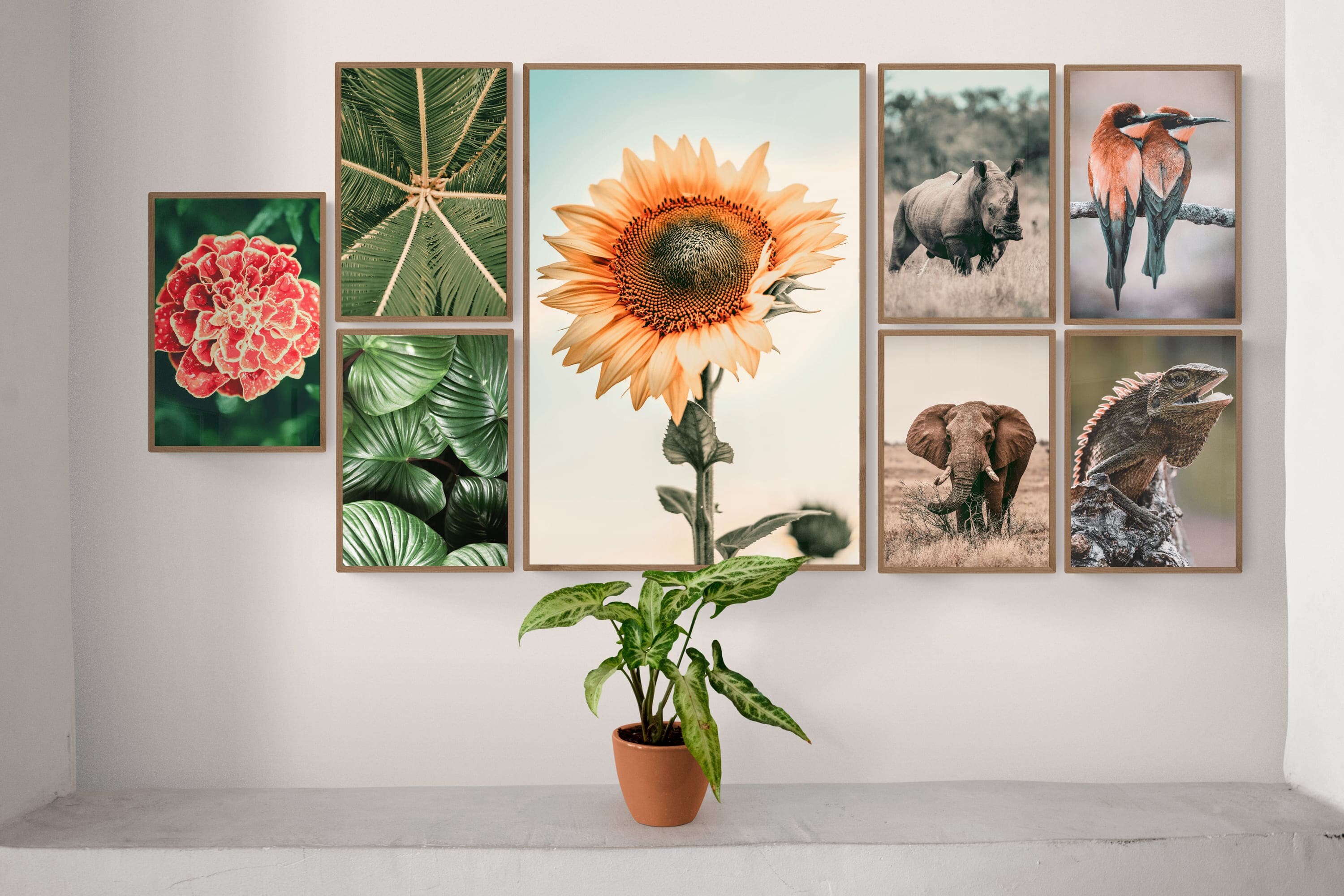 Set Of 50 Tropical Wall Art Prints Tropical Room Decor Etsy