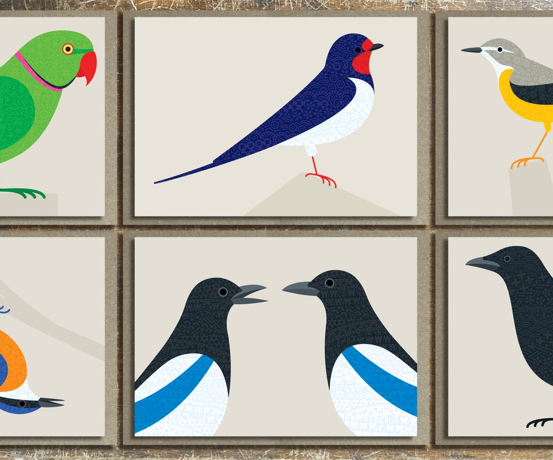 Birds in Britain Greeting Card Bundle: Pack of 12 Cards - Etsy