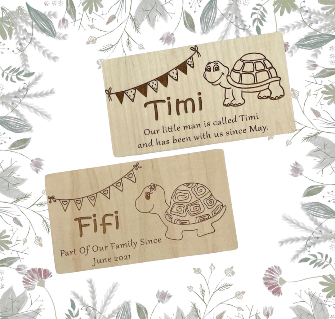 Tortoise Plaque, Tortoise Sign, Personalised Tortoise Sign, Tortoise ...