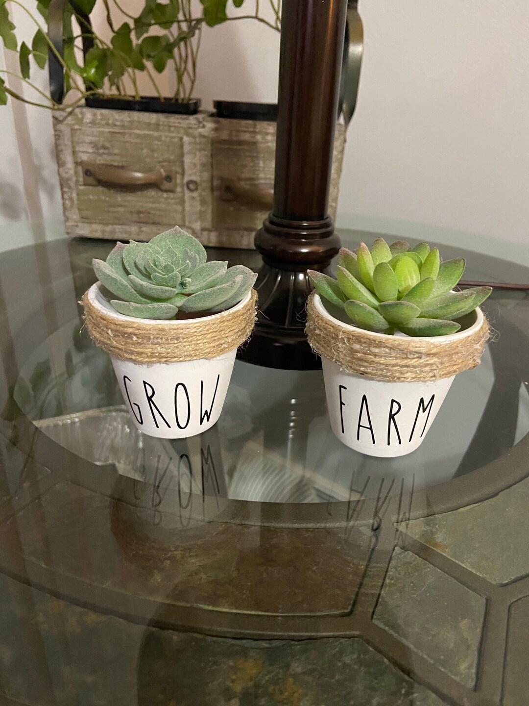 Rae Dunn Inspired Succulents - Etsy