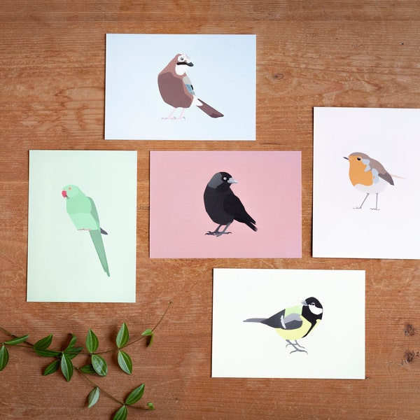 Bird Postcards - Etsy