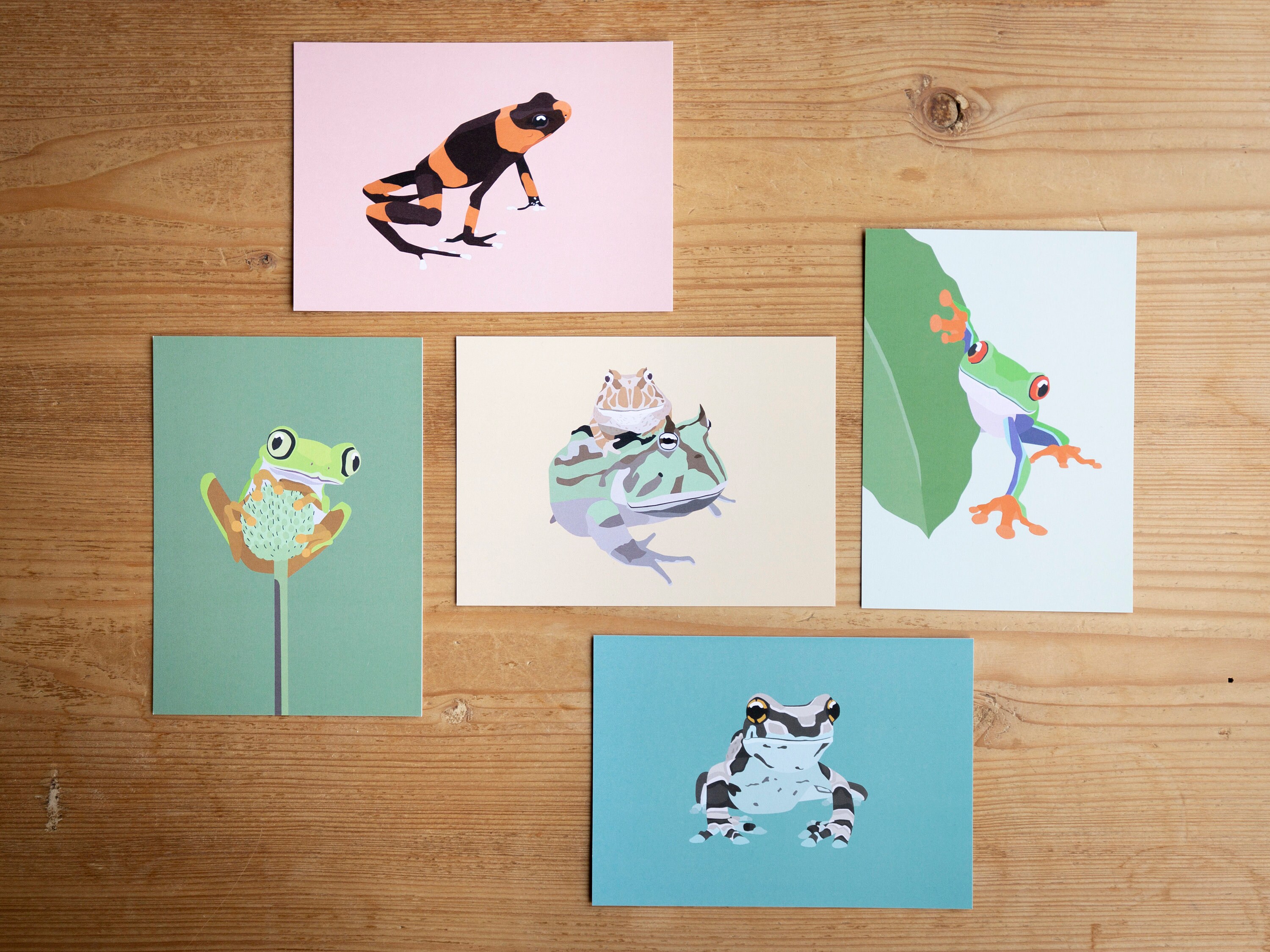 Minimalistic and Colourful Frog Postcards Set of 10 - Etsy