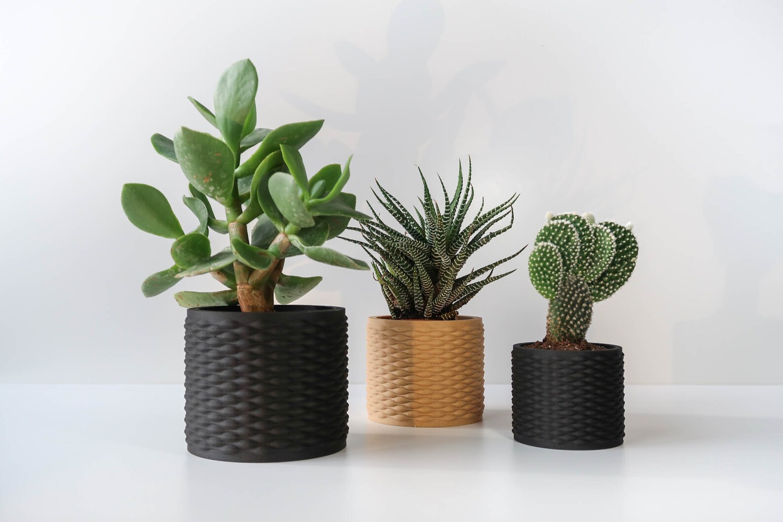 Cache-pot cactus et succulente WAVE « Bold » • petite déco d’intérieur ...