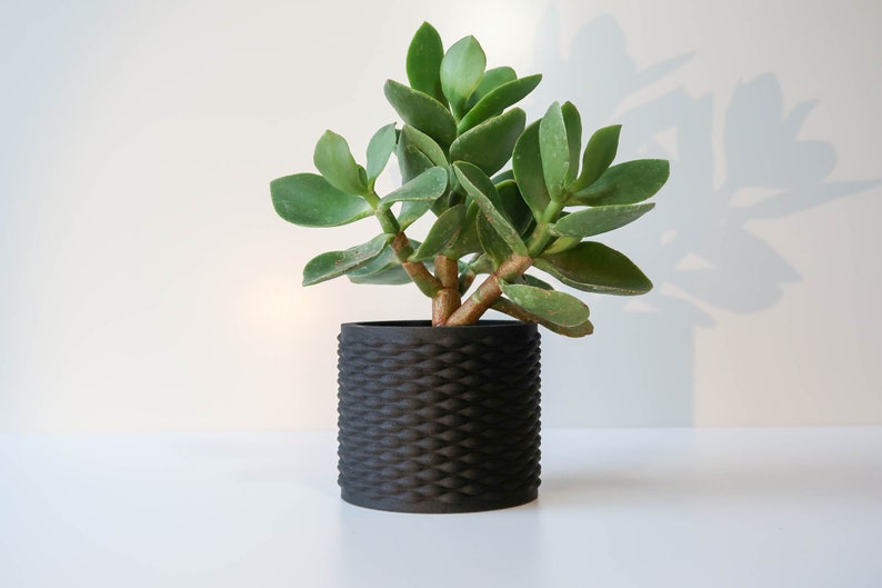 Cache-pot cactus et succulente WAVE « Bold » • petite déco d’intérieur ...