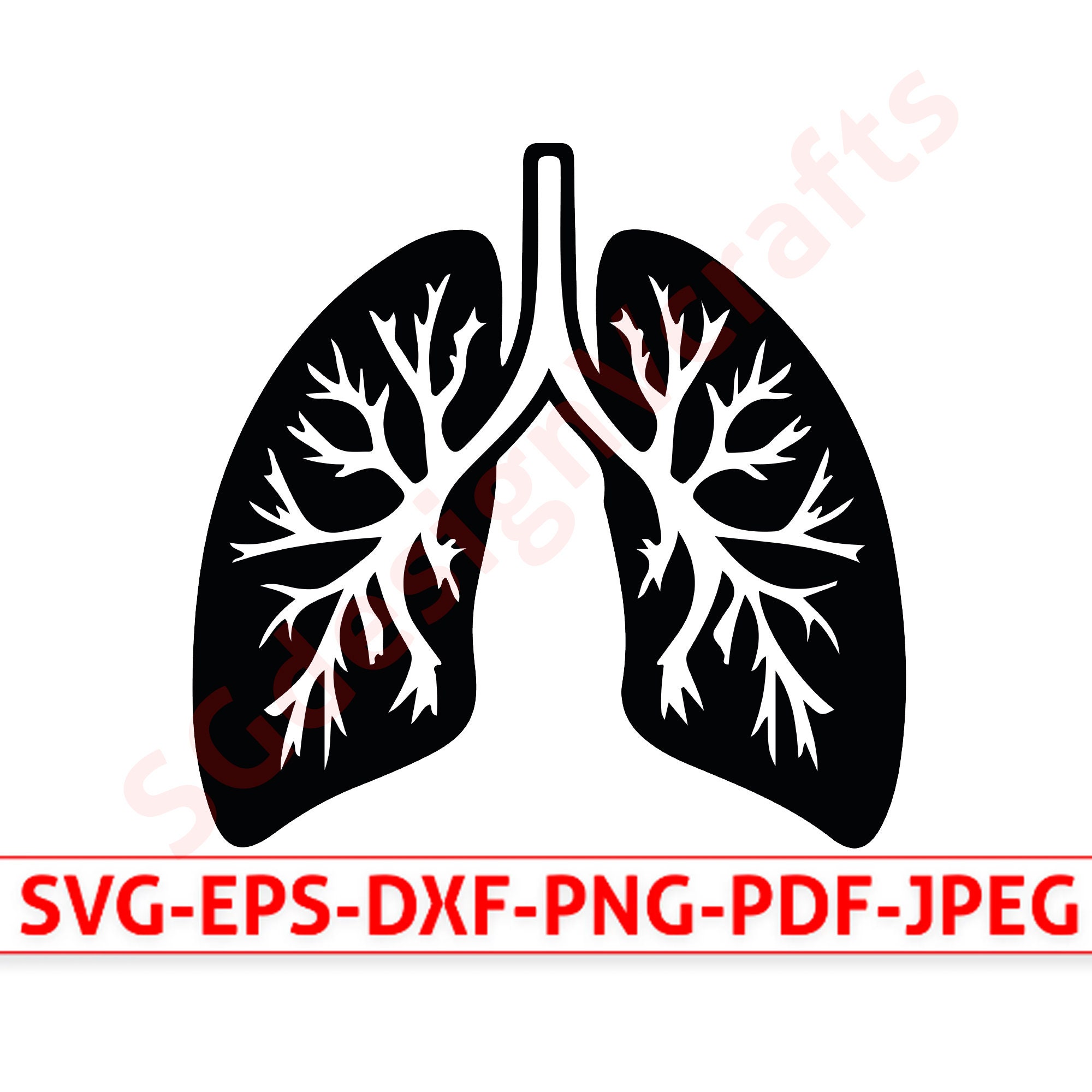 Lung SVG LUNGS Slihouette Lungs VECTOR Lungs Cigaret Svg - Etsy