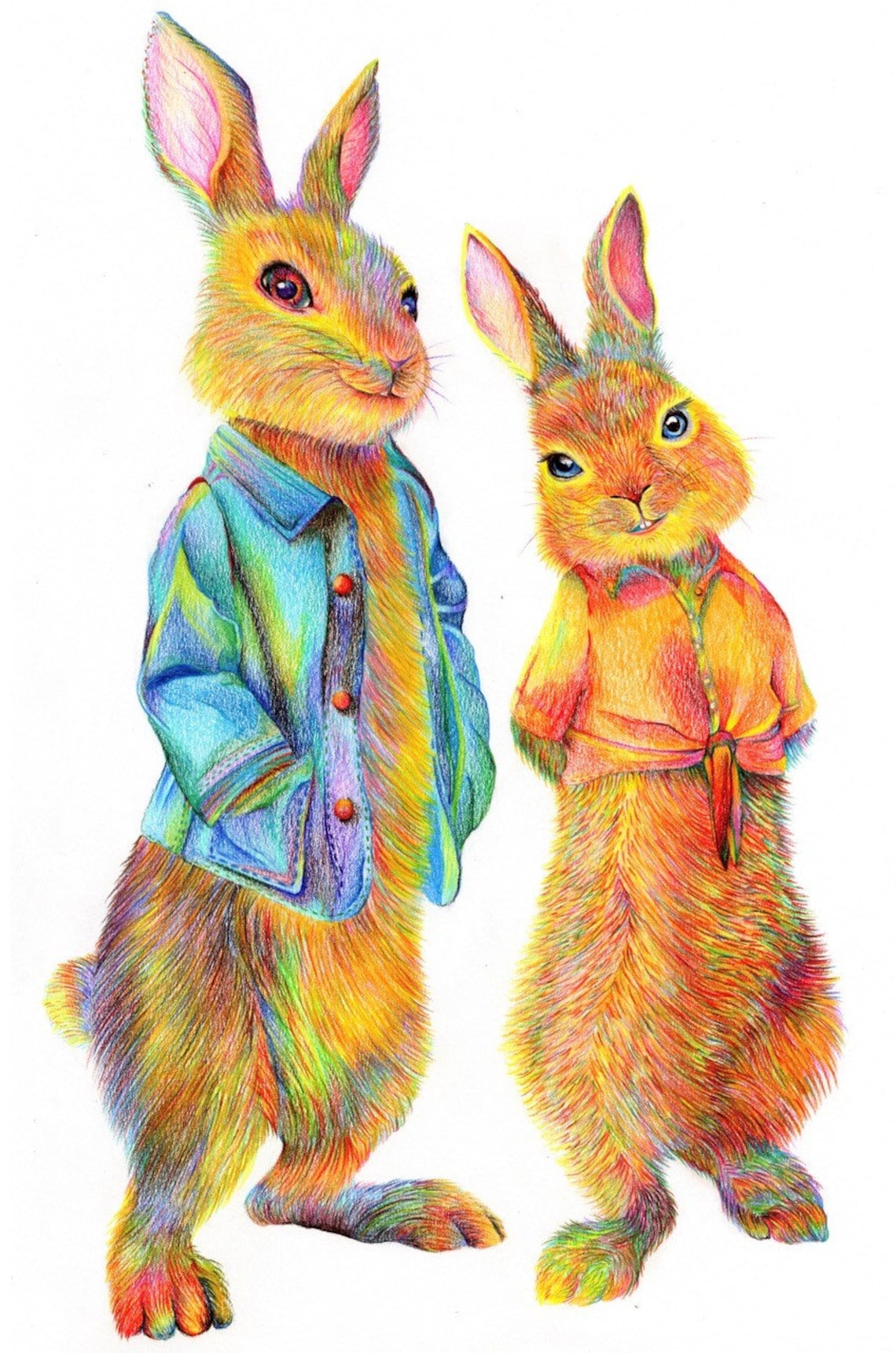 Colourful Peter Rabbit Pencil Drawing Print 'Peter | Etsy