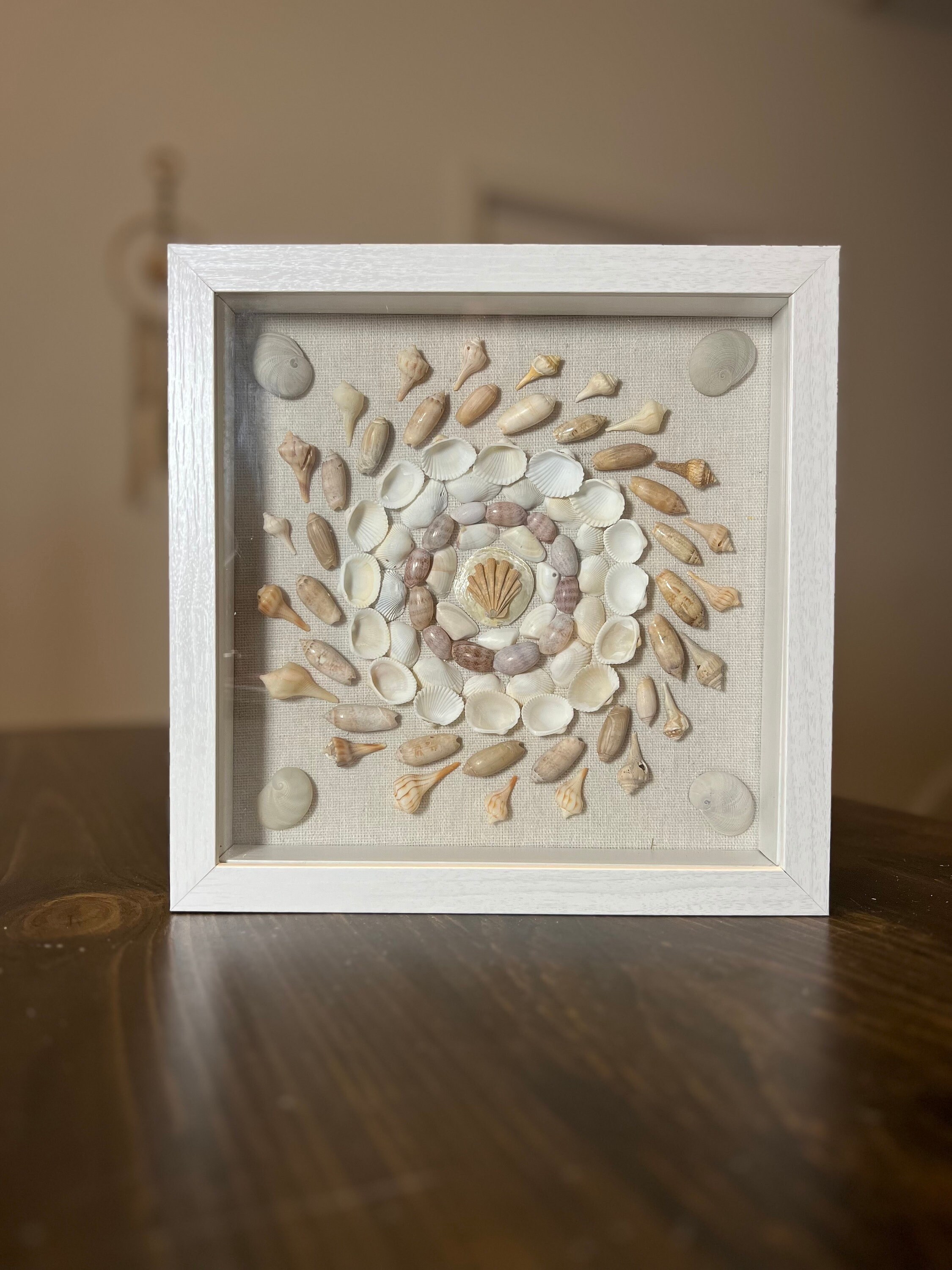 Seashells in a Wooden 9x9 Shadow Box - Etsy