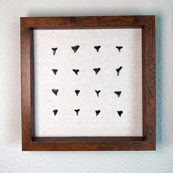 Shark Teeth Shadow Box Svg - Etsy