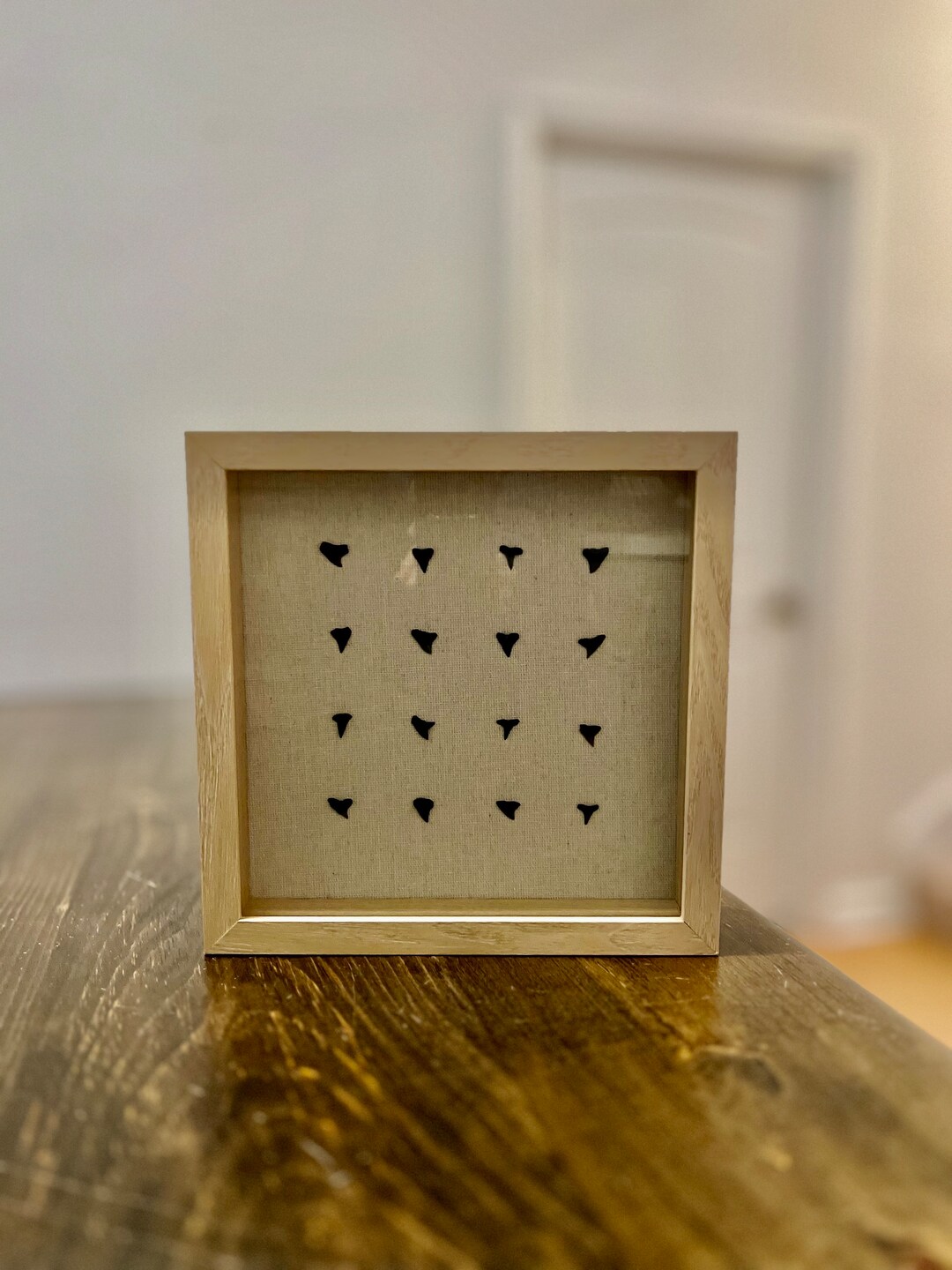Shark Teeth 9x9 Shadow Box - Etsy